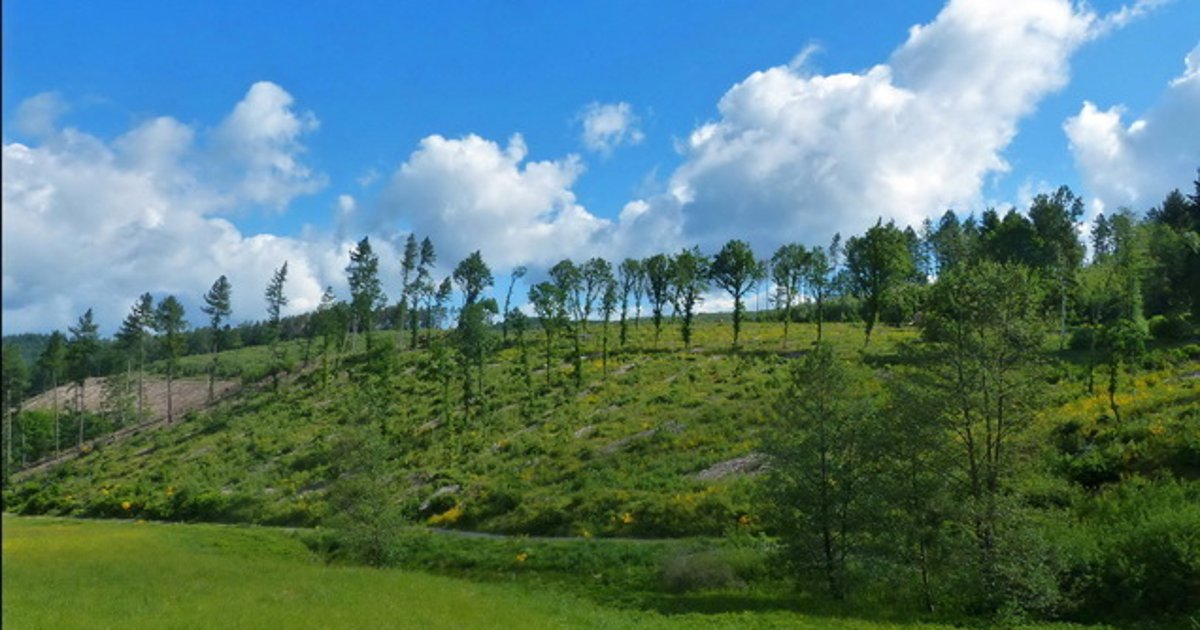 Brauchtums-Botschafter gesucht | Stadt Haiger – traditionell kreativ ...
